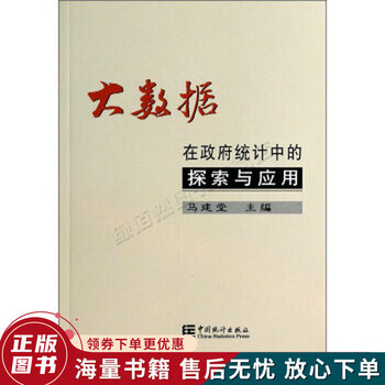 大数据在政府统计中的探索与应用