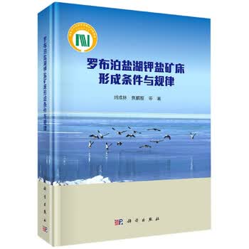罗布泊盐湖钾盐矿床形成条件与规律(精)
