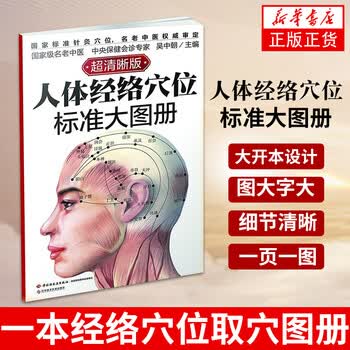 人体经络穴位标准大图册(超清晰版)人体经络穴位图解书 医药卫生中医穴位图解