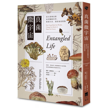 真菌微宇宙 看生态炼金师如何驱动世界推展生命连结地球万物 梅林谢德瑞克 果力文化 植物真菌 港台图书预售