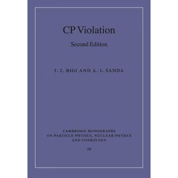 高被引CP Violation