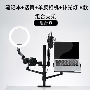 普双航 手机笔记本电脑平板支架懒人桌面ZB-2游戏直播拍摄录像云台显示器增高托架话筒补光灯多功能伸缩 ZB-2 B款（笔记本+话筒+单反相机+补光灯）