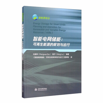 智能电网储能：可再生能源的规划与运行