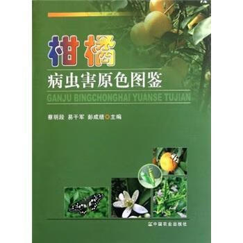 柑橘病虫害原色图鉴 蔡明段 中国农业出版社