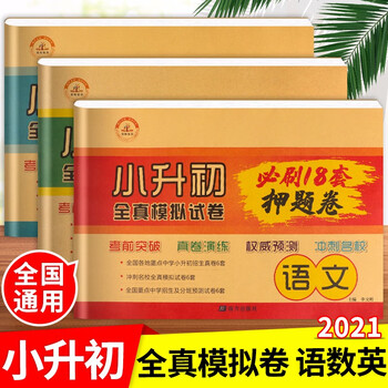 荣恒2022版小升初真题卷语文数学英语小升初名校冲刺人教版系统毕业总复习资料小学六年级下册试卷 语数英（ 共3本）