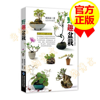 野趣盆栽