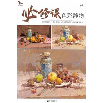 必修课色彩静物 孙建主编 山西人民出版社