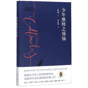 少年维特之烦恼(精)