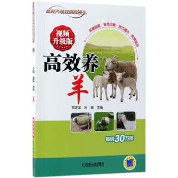 高效养羊(视频升级版)/高效养殖致富直通车