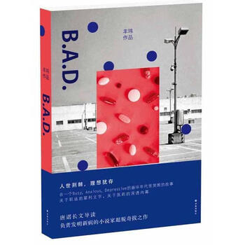 BAD 丰玮 译林出版社