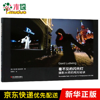 看不见的闪光灯(摄影大师的用光秘诀)