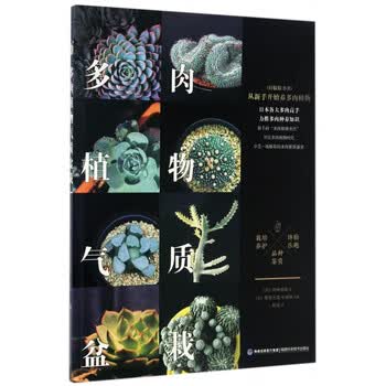 多肉植物气质盆栽