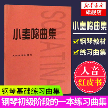 小奏鸣曲集 拜厄钢琴基本教程 哈农钢琴练指法 巴赫初级钢琴曲集 车尔尼599 人音红皮书 钢琴初级