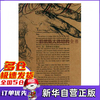 伯里曼人体结构全书