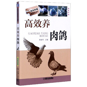 高效养肉鸽(双色印刷)/高效养殖致富直通车