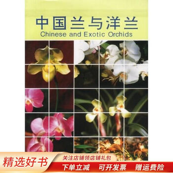 中国兰与洋兰 卢思聪