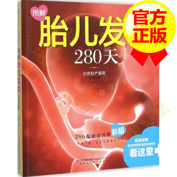 图解胎儿发育280天
