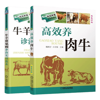 养牛技术大全 肉牛养殖技术书籍 牛羊常见病诊治实用技术 养牛技术大全 高效养肉牛