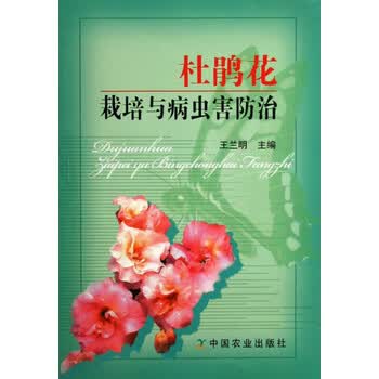 杜鹃花栽培与病虫害防治