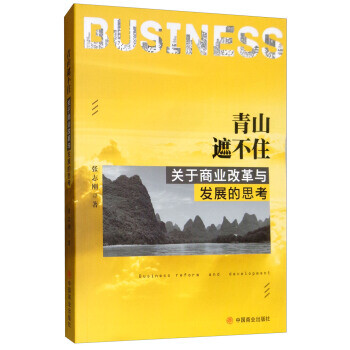 青山遮不住:关于商业改革与发展的思考