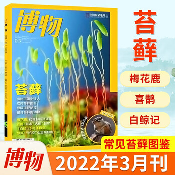博物杂志2022年3月第3期 苔藓 自然人文科普百科畅销图书 中国国家地理青少年版科普系列丛书
