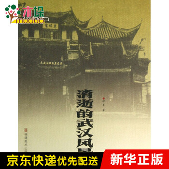 消逝的武汉风景/消逝的风景丛书