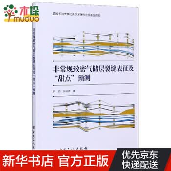 非常规致密气储层裂缝表征及甜点预测