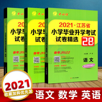 备考2022小升初2021江苏省小学毕业升学考试试卷精选28套卷六6年级人教版苏教版译林版春雨48套 小学毕业升学考试试卷精选 语文+数学+英语 全3册