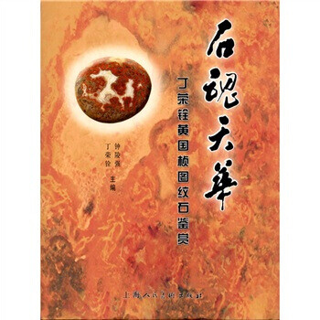 保证正版 石魂天华：丁荣铨黄国桢图纹石鉴赏 丁荣铨,钟陵强 上海人民美术出版社 9787532272