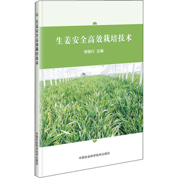 生姜安全高效栽培技术