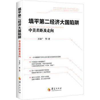 填平第二经济大国陷阱：中美差距及走向