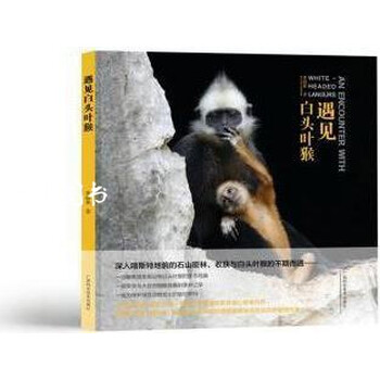 遇见白头叶猴 黄嵩和著 广西科学技术出版社