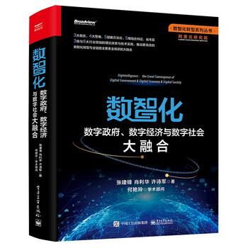 数智化：数字政府、数字经济与数字社会大融合(博文视点出品)