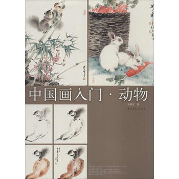 动物