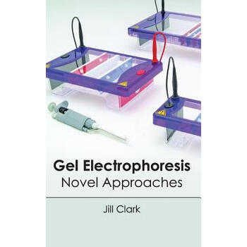 Gel Electrophoresis: Novel Approaches