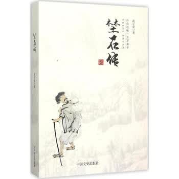 埜石传 武立金  书籍