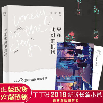 【正版书籍】只在此刻的拥抱 丁丁张的