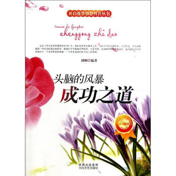 头脑的风暴-成功之道  故事书 儿童书籍