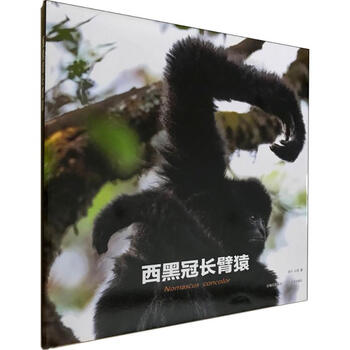 西黑冠长臂猿 润宁,山岚  书籍