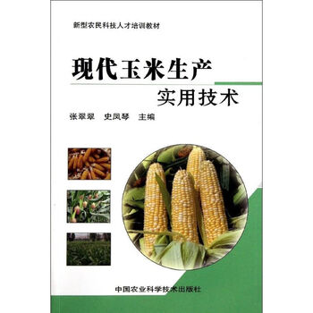 现代玉米生产实用技术 张翠翠//史凤琴  书籍