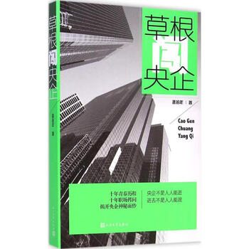 草根闯央企 孟拾年   书籍