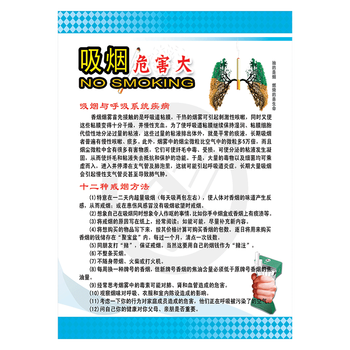 禁烟公益广告文化宣传画挂图标语海报禁止吸烟您已进入无烟场所控烟招贴画覆膜防水贴纸TYH TYH06  吸烟危害大 120*80厘米 覆膜防水PP贴纸