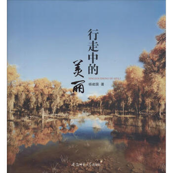行走中的美丽 杨建国   书籍