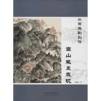 嵩山笔墨表现 张桐瑀 作 书籍