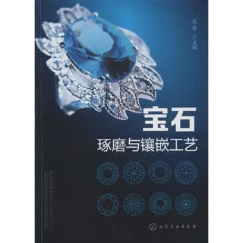 宝石琢磨与镶嵌工艺 范泽 主编 书籍