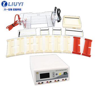 【六一牌DYCP-31DN DYY-6C D】北京六一DYCP-31DN琼脂糖水平电泳仪DYY-6C电泳仪电源套装1实验水平槽DNA蛋白制胶核酸凝胶器科研分析电泳槽【行情 报价 价格 评测】-京东
