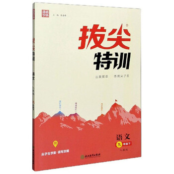拔尖特训：语文（九年级下 人教版）