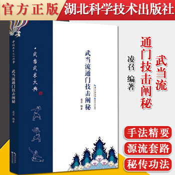 武当流通门技法阐秘凌召