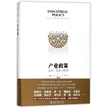 产业政策(总结反思与展望)(精)