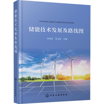 储能技术发展及路线图
